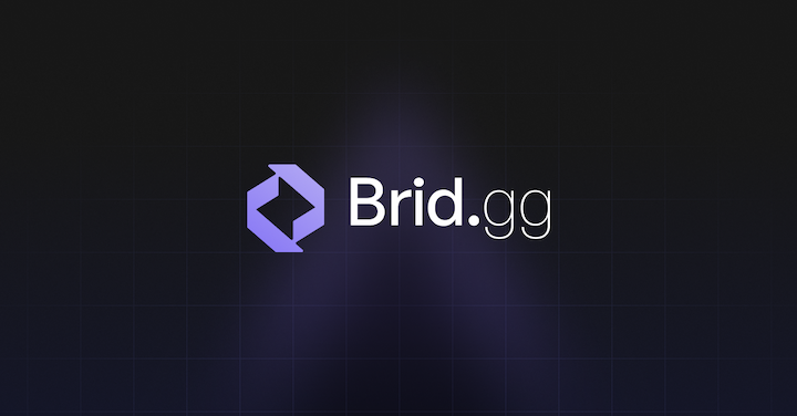 What is Brid.gg? | Brid.gg